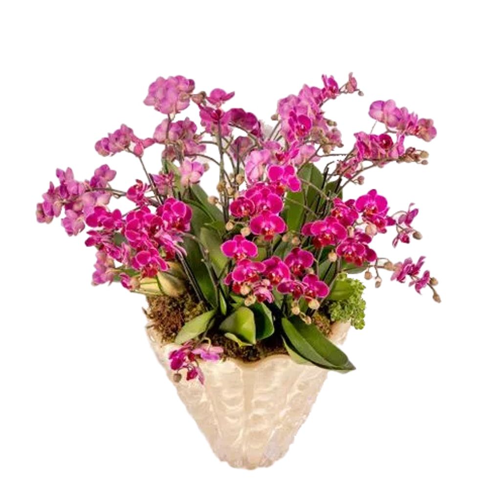 Arranjo Roma Orchidee - tetecastanha